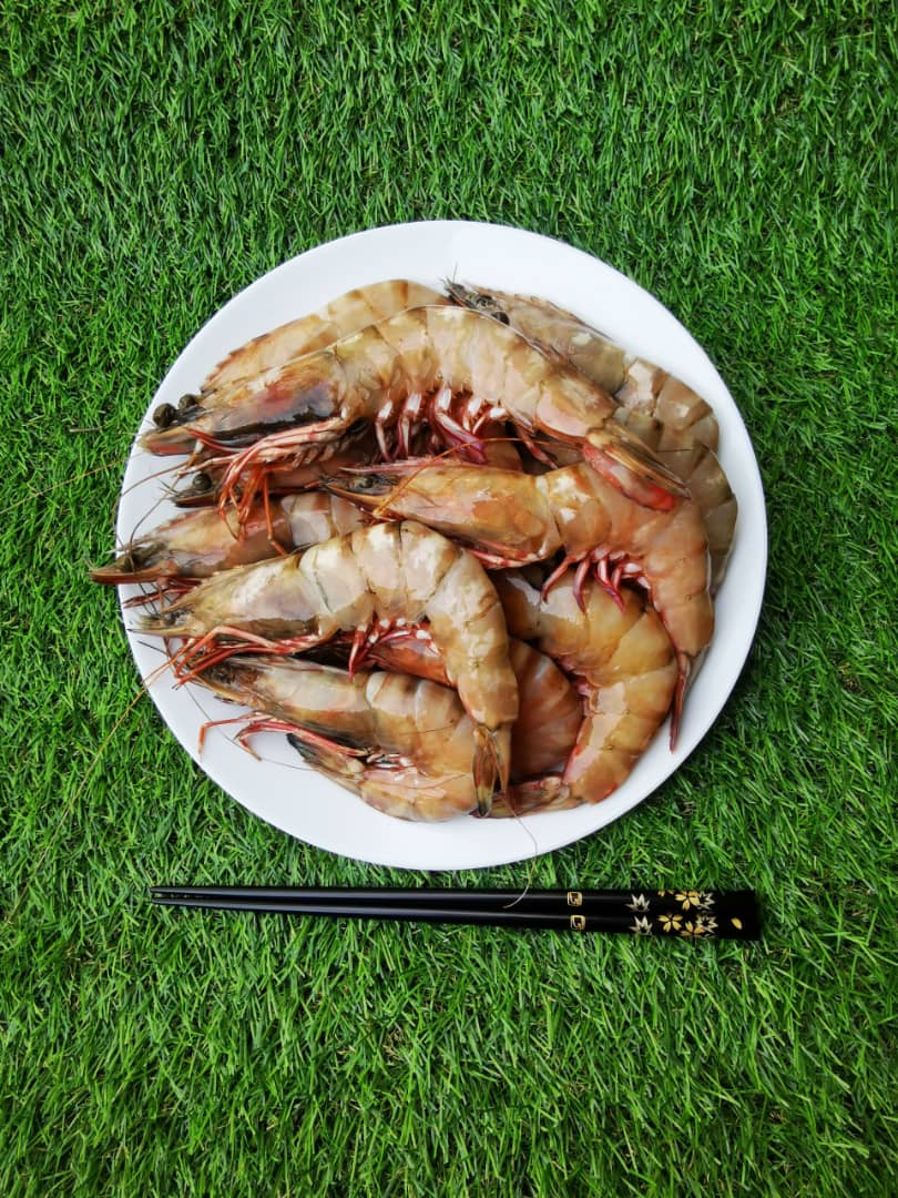 Flower Prawns - No Fishy Business